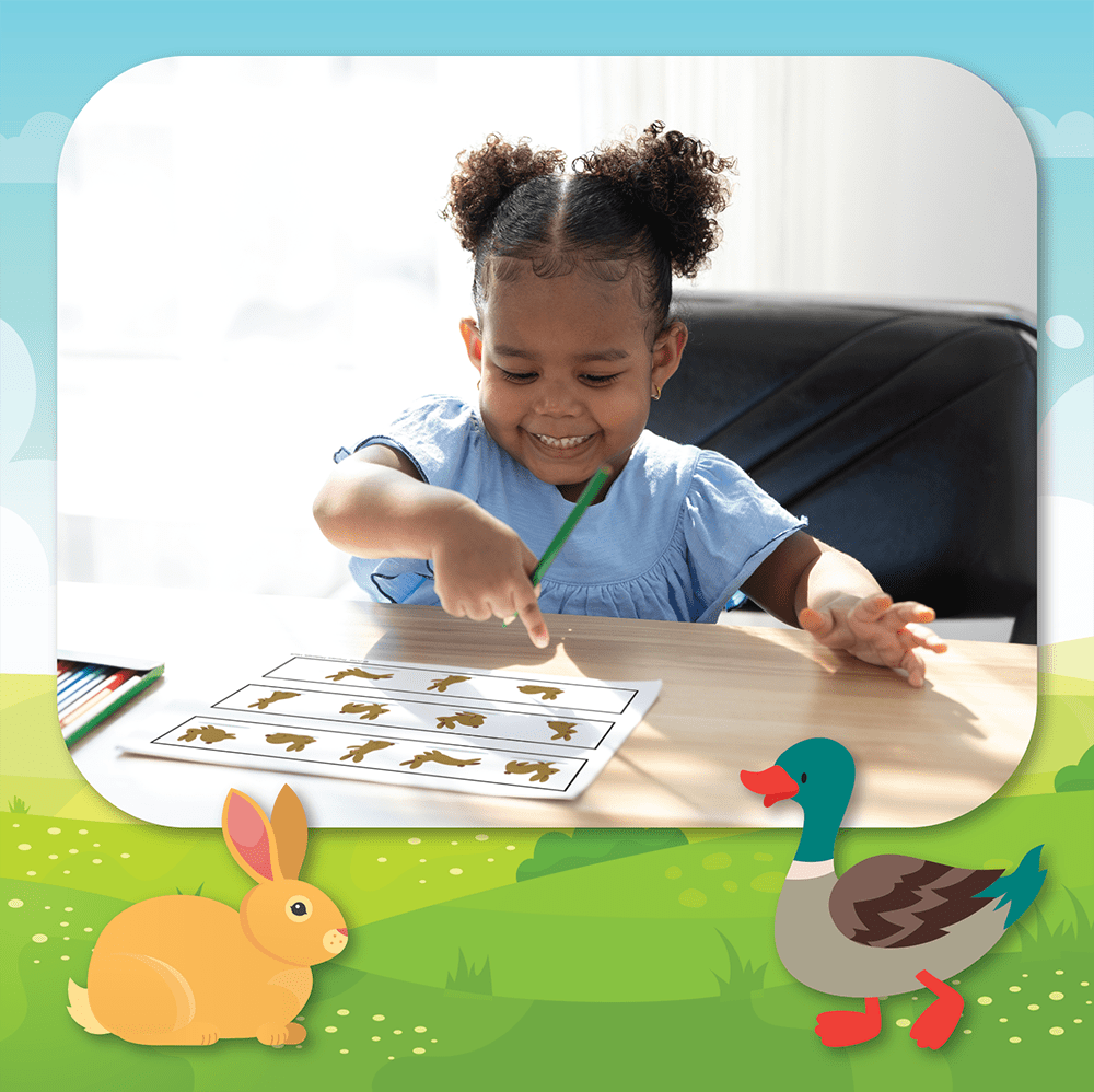 Fluency Pacing Board Collection: Over 50 Pacing Boards Included | TMV