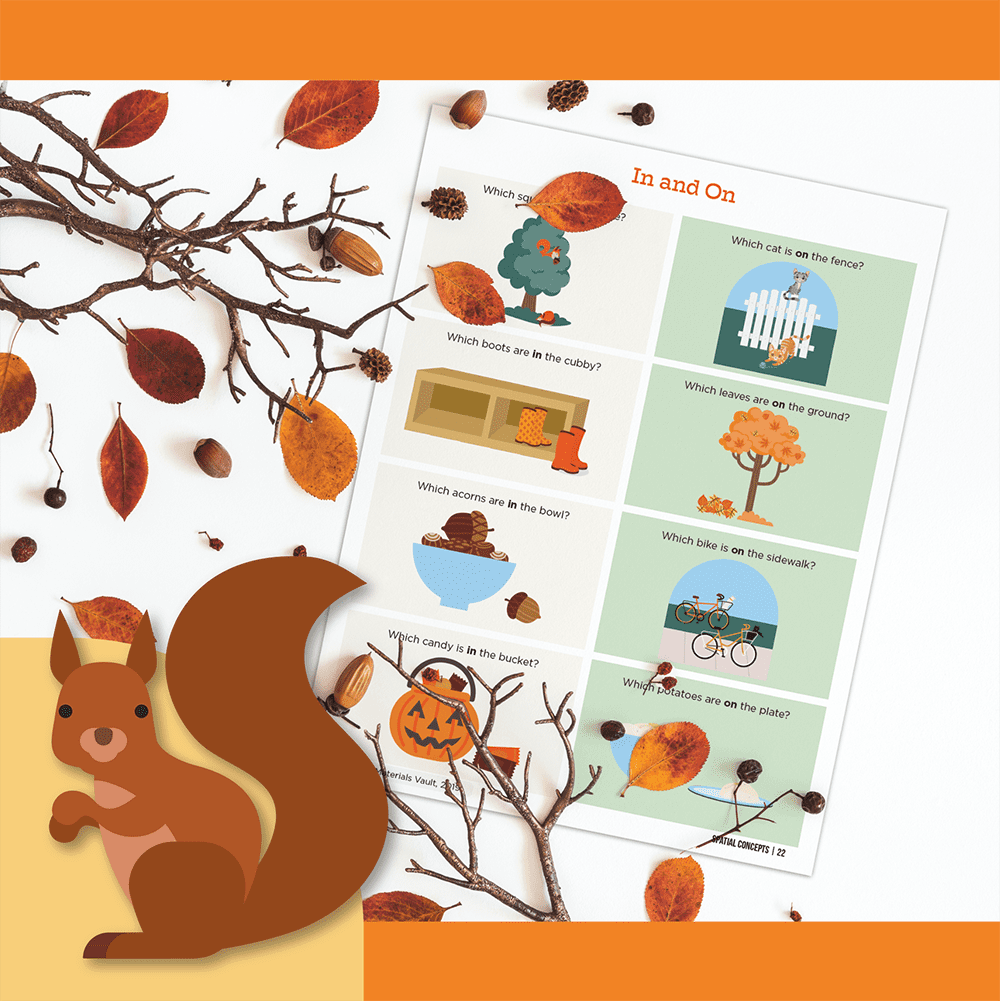 Basic Concept Fall Bundle | TMV