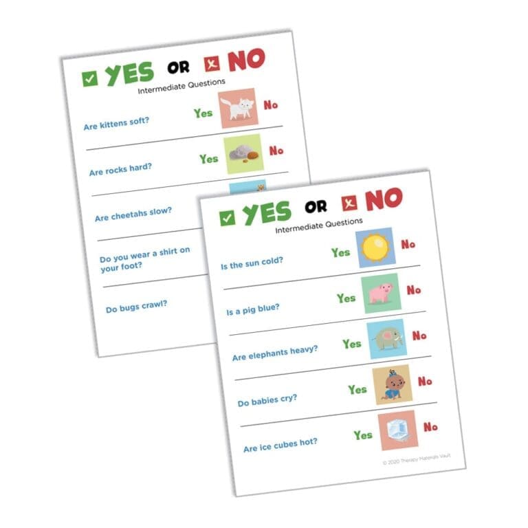 Yes / No Visuals and Worksheets | TMV