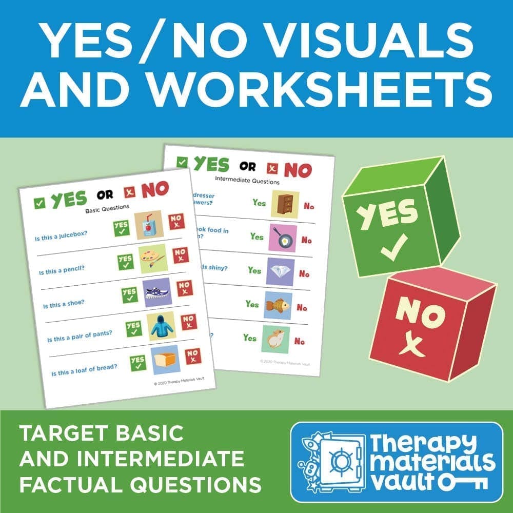 Yes / No Visuals and Worksheets | TMV