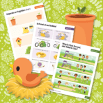 Basic Concept Spring Bundle | TMV