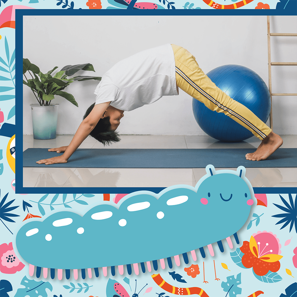 Ball and Target Activity: Animal Theme! | TMV